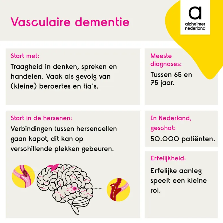 Vasculaire dementie | Alzheimer Nederland